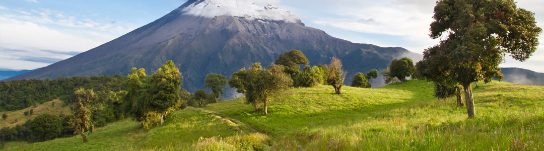 Why Volunteer or Intern in Ecuador - EcuaExplora